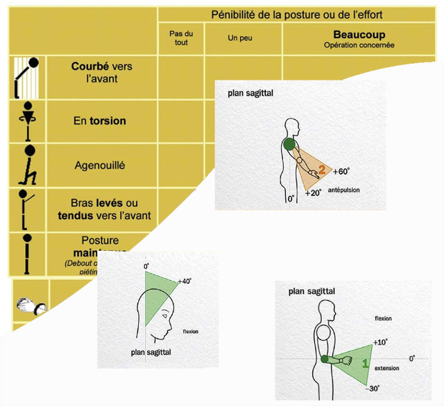 CAMIRA : Formation Prap – Gestes et Postures - CAMIRA